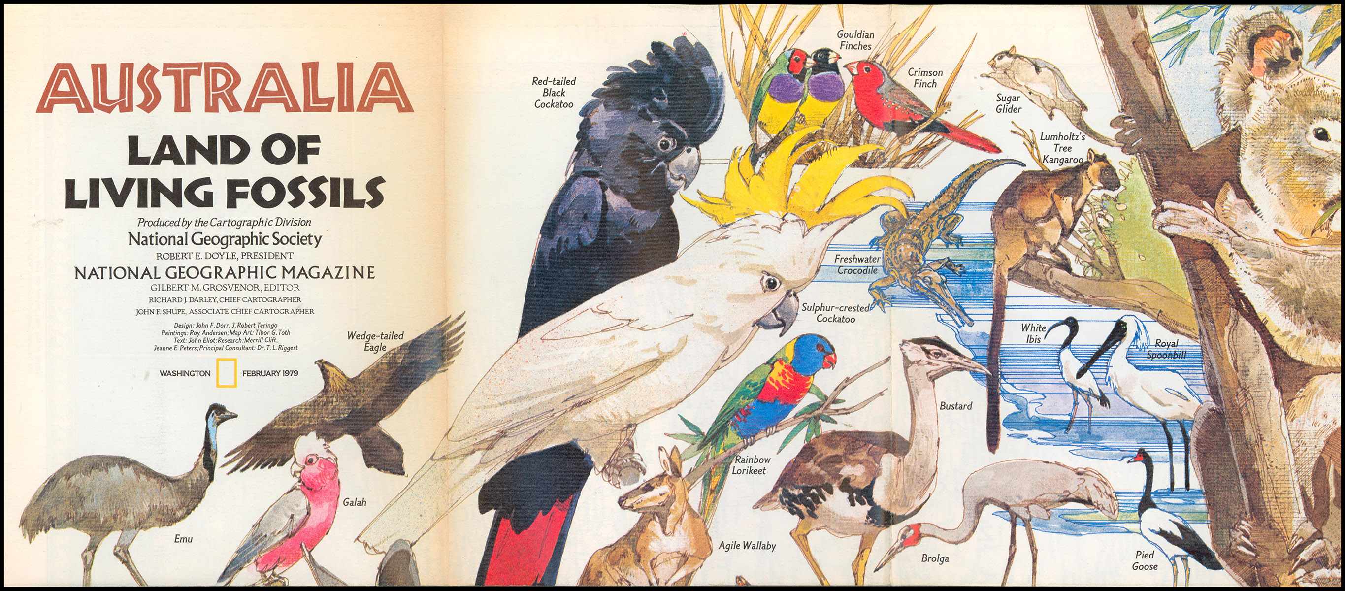 National Geographic Map Of Australia Land Of The Living Fossils ...